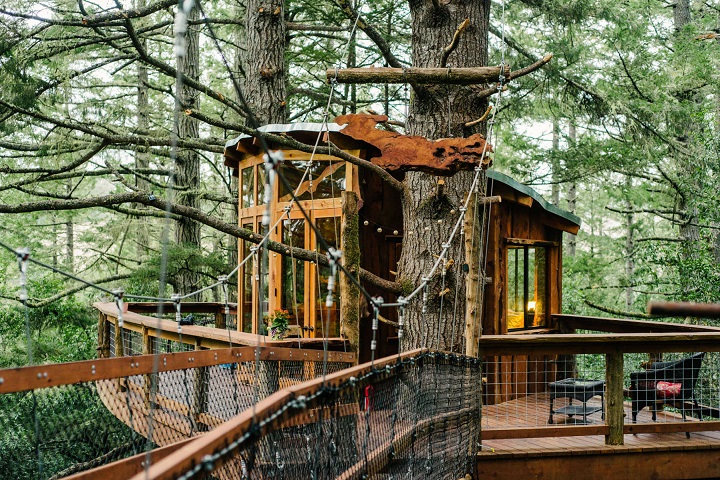 Tree House